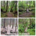 Cahermurphy Looped Trail – Working, Living & Travelling In Ireland