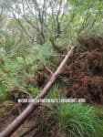 Cahermurphy Looped Trail – Working, Living & Travelling In Ireland