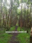 Cahermurphy Looped Trail – Working, Living & Travelling In Ireland